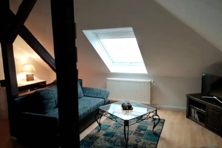 Gemütliche Dg Wohnung Mit Schöner Aussicht - Erfurt
