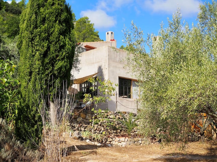 Déconnexion Dans Une Oliveraie éCologique - Tortosa