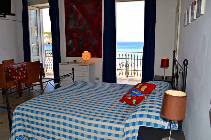 Delfino- Marideaponza - Ponza