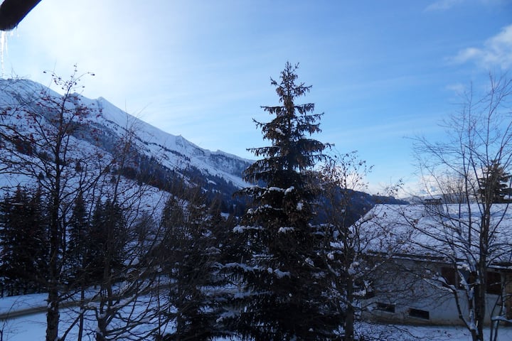 Le Pulsatille/ Residence La Moutelette - La Clusaz