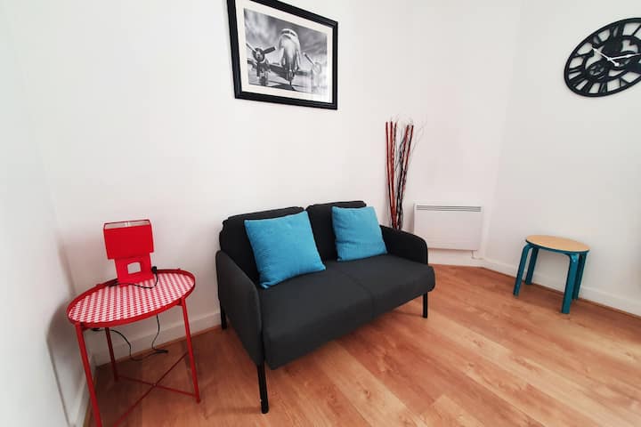 Le Céleste, Logement Simple Et Abordable, Mairie - Vichy