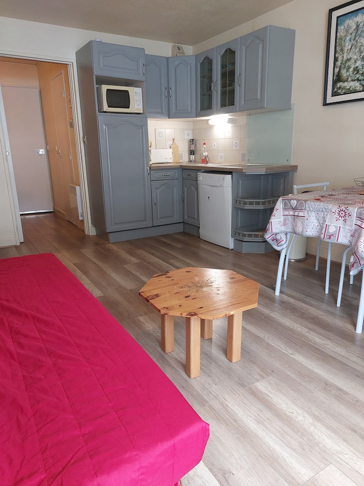 Studio Le Lioran Ideal Pour Promeneurs Ou Skieurs - Le Lioran