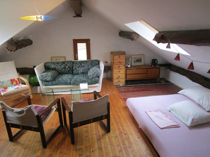 Casa Pedevilla: Charmante, Tranquille, Centrale - Bellinzona