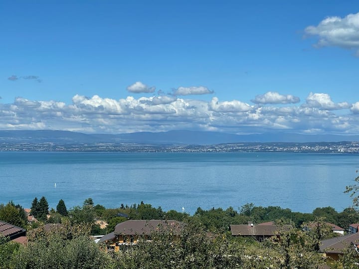 Le Chalet Sur Le Lac - Lake Geneva