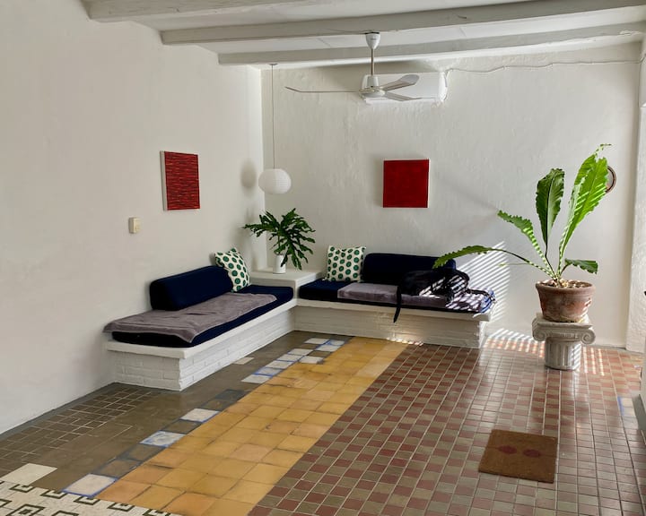 Private House: Dog Friendly Remote Work In Centro - Puerto Vallarta