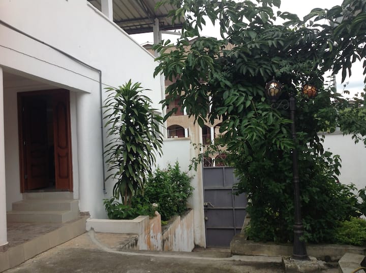 Découvrez La Chambre Perroquet Gris Du Gabon - Libreville