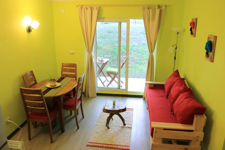 Araucanía Nativa Departamento - Pucón