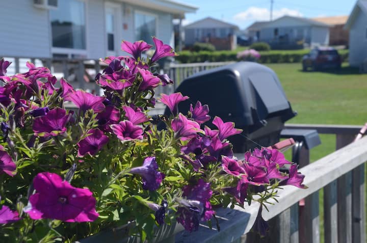 Sundance Cottages Two-bedroom Cottage - Cavendish