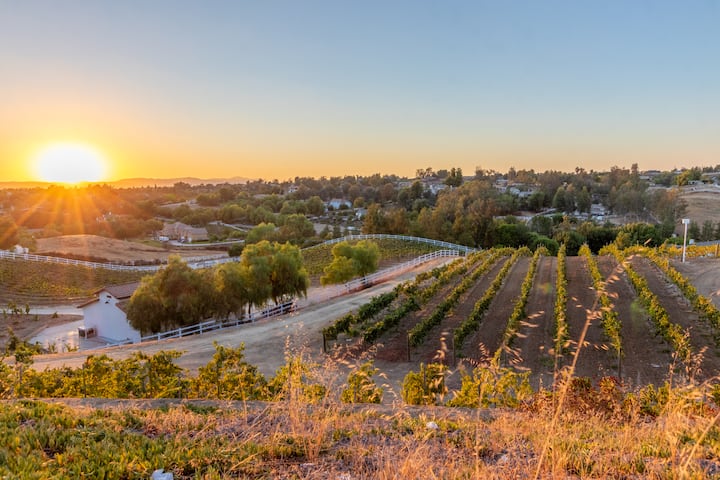 Breathtaking Tara Vineyards Estate - Temecula, CA