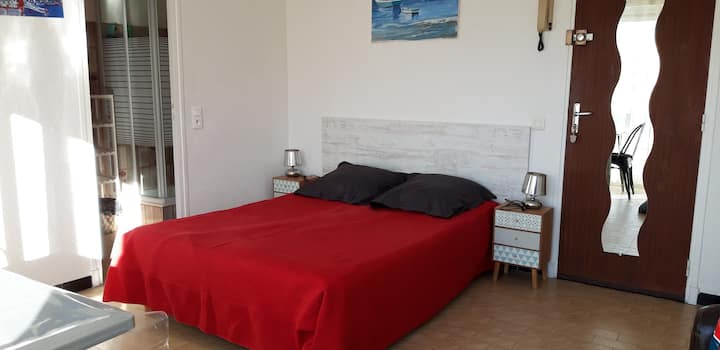 Studio 2*parfait Pour Cures Et Vacances - Balaruc-les-Bains