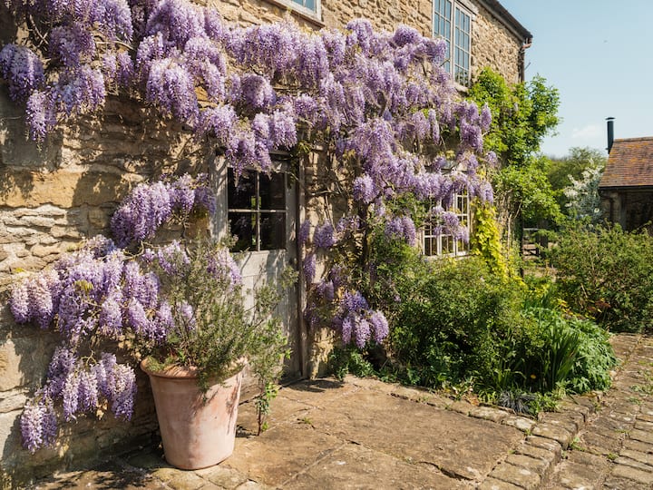 Godminster Manor Cottage - United Kingdom