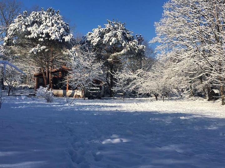 8 Dönüm Arazi Içinde çIftlik Evi - Kırklareli