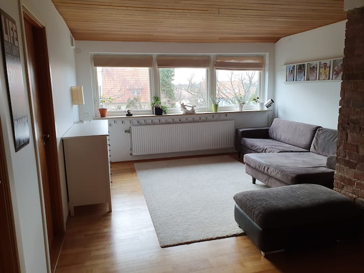 Spacious 10-12p Family Friendly Villa - Malmö/lund - Lund