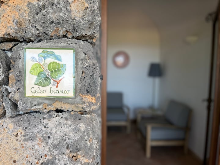 Jardina Appartamento Gelso Bianco - Pantelleria