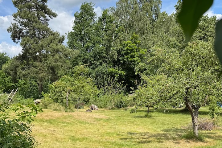 Privater Womo-stellplatz - Dannenberg