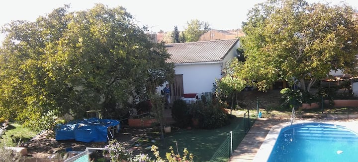 La Bodega, Casa Con Jardín Y Piscina. - Requena, España