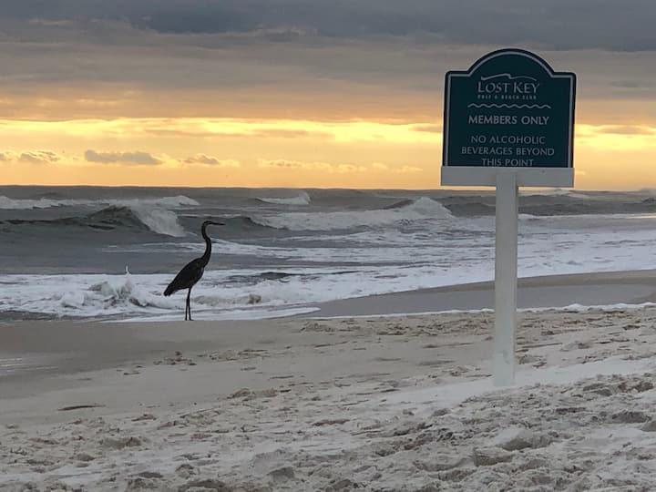 Resort Living!  2 Bd Townhome Perdido Key - Perdido Key, FL