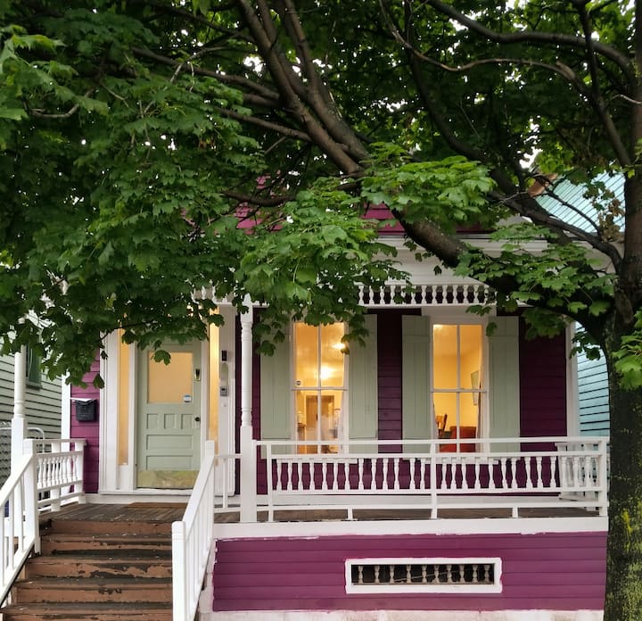 Historic Elmwood Ave Home In The Heart Of Buffalo! - Buffalo, NY