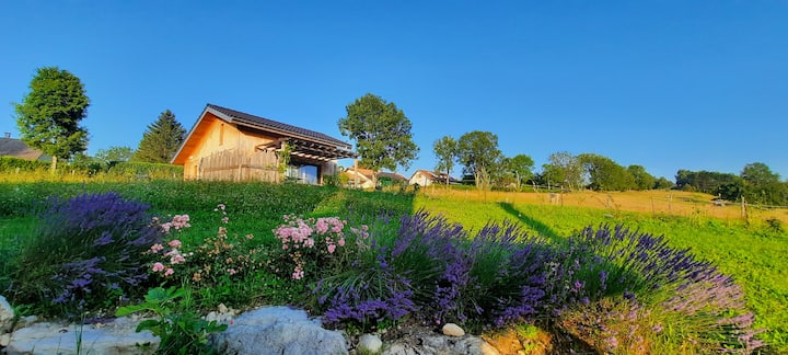L 'Abrier Eco Maison Bois Proche Lacs Et Nature - Lac de Vouglans