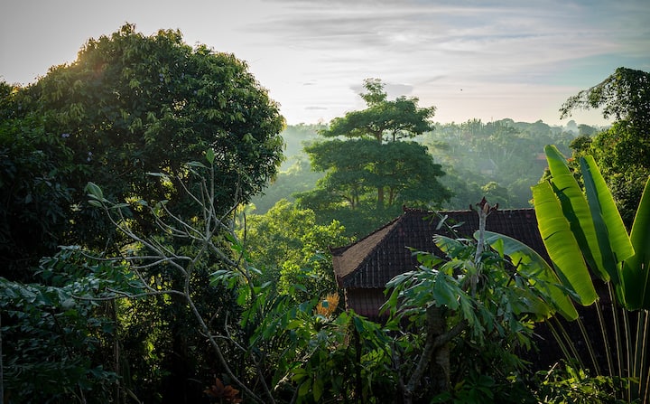 Idyllic Heritage Villa Walking Distance From Ubud - Ubud