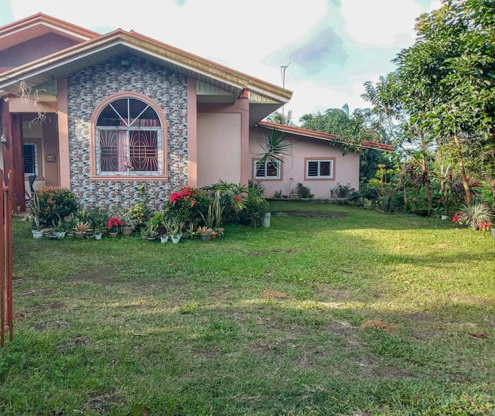 Mca Transient House - Alfonso