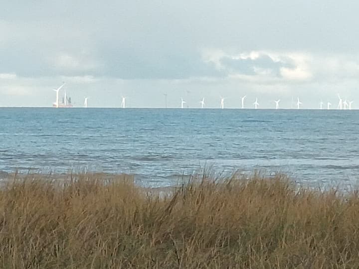 Wordt Niet Meer Verhuurd ! - Leiden