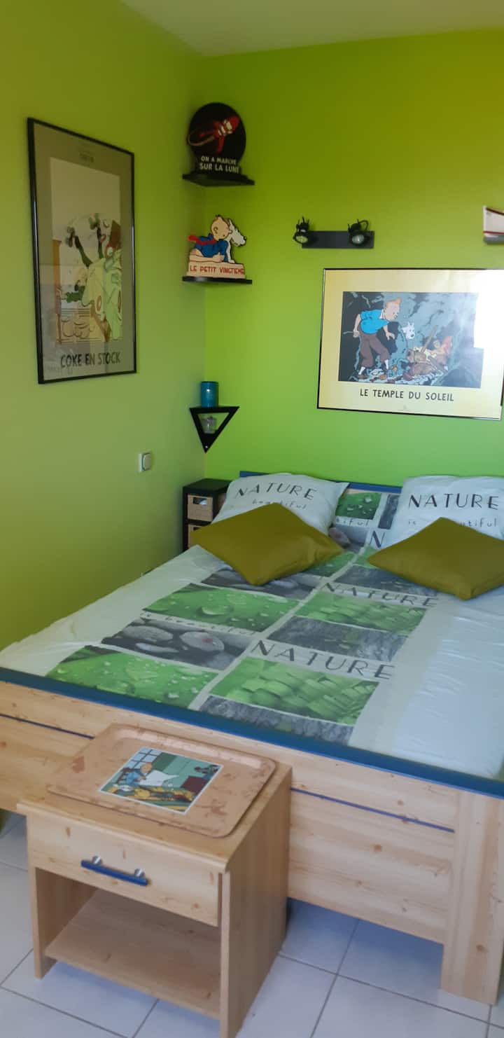 Chambre à Louer Dans Villa St Clair-vue éTang Thau - Sète