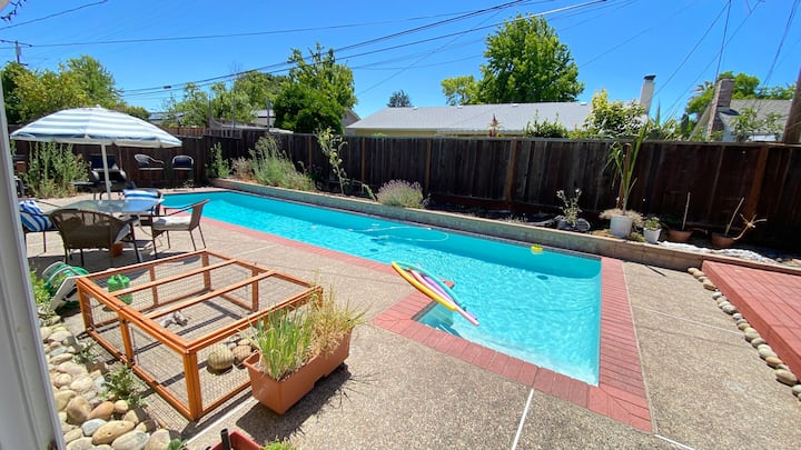 Starbird Oasis: Pet Friendly With Private Pool! - Cupertino, CA