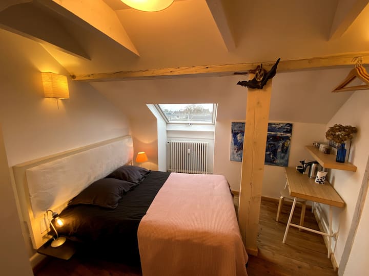 Chambre Avec Vue - Quartier Neustadt - Strassburg