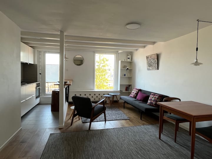 Light Top Floor Apartment With Roof Terrace - Amstelveen