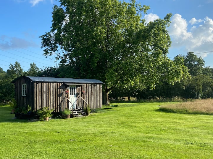 Buckhurst Luxury Kent Shepherds Hut With Breakfast - Dymchurch