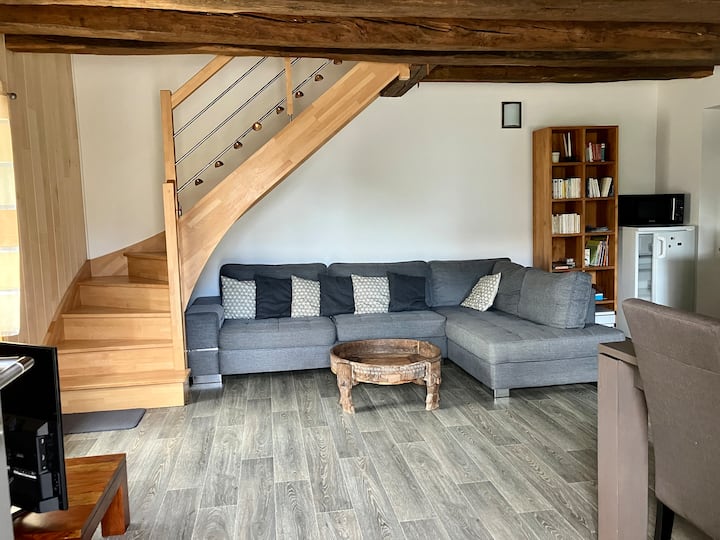 Chaleureux Duplex T3 Proche Centre-ville - Tours