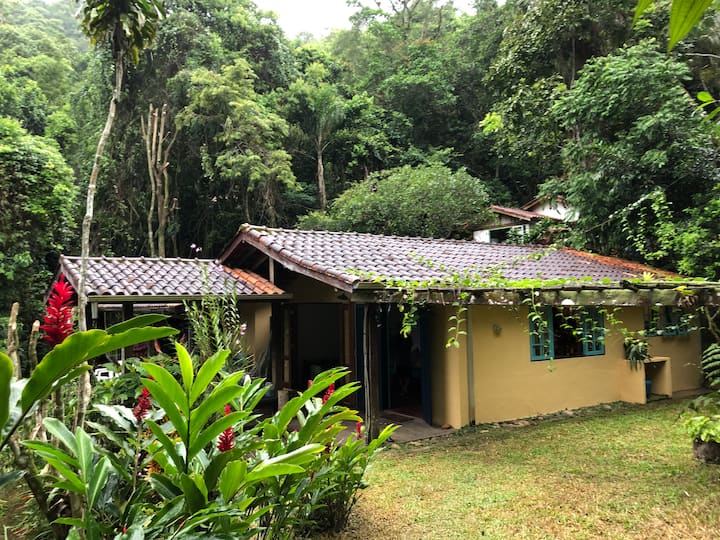 Casa Na Mata Na Brava Da Fortaleza, Ubatuba - Brasil