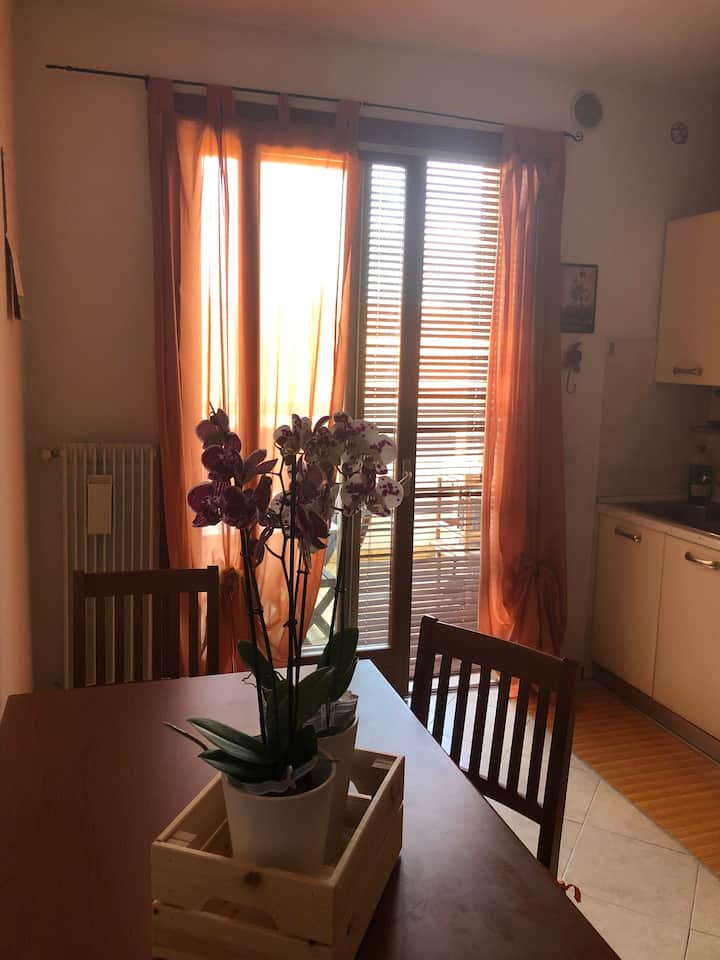 Accogliente Mini Appartamento - Treviso