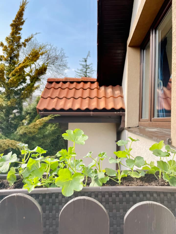 #2. Old Town House - Free Parking - Bratislava