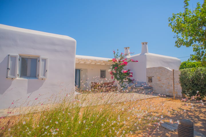 Flower Villa - Antiparos