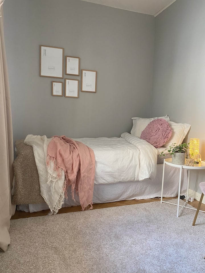 Boende I Centrala Stockholm Invid Drottninggatan - Estocolmo