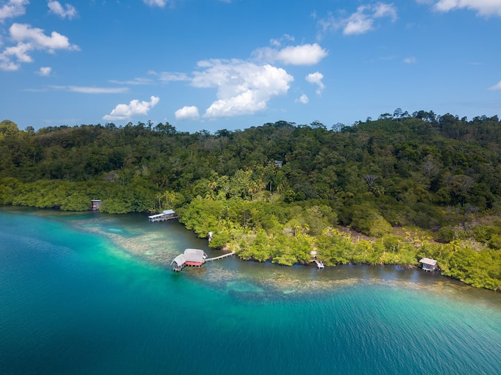 Exclusive Jungle Retreat on Bioluminescent Lagoon - Huts for Rent in ...