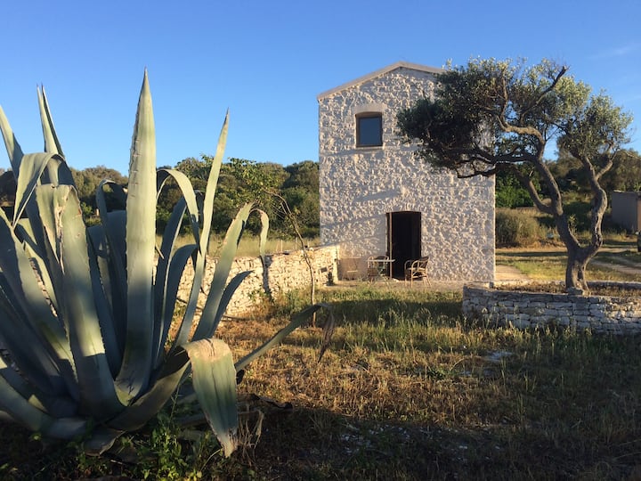 Agritourisme à Bonifacio - Petite Maison Privée - Bonifacio