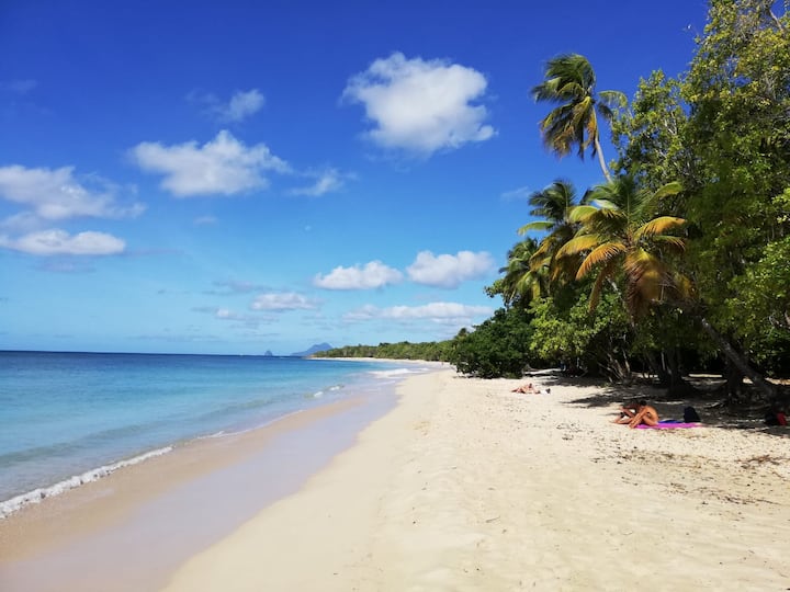 Flanbwayan Ste Anne - Martinica