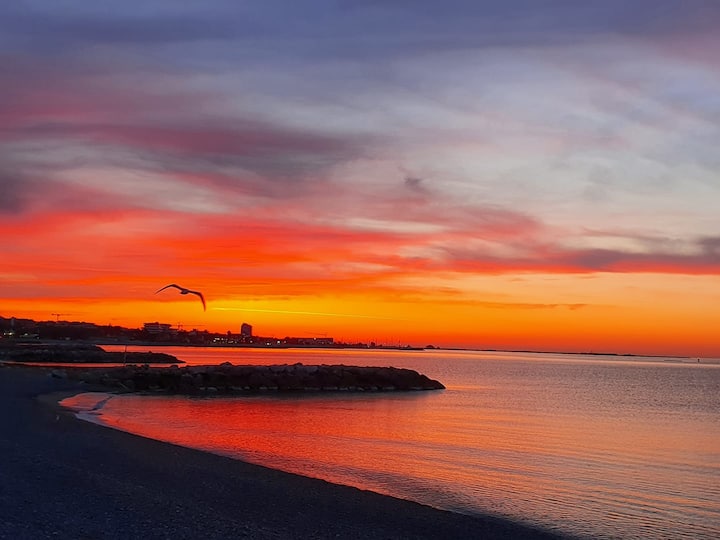 Face à La Mer
Très Beau 3 Pièces De 70m2 - Cagnes-sur-Mer