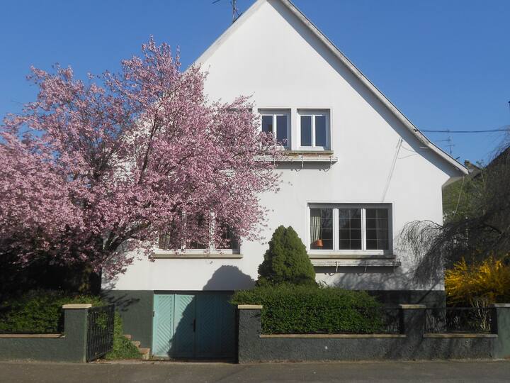 Agréable Studio Bien éQuipé En Rez De Jardin - Geispolsheim