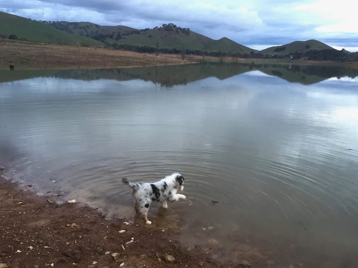 Alfoxton Lake House - Dog Friendly - Bonnie Doon
