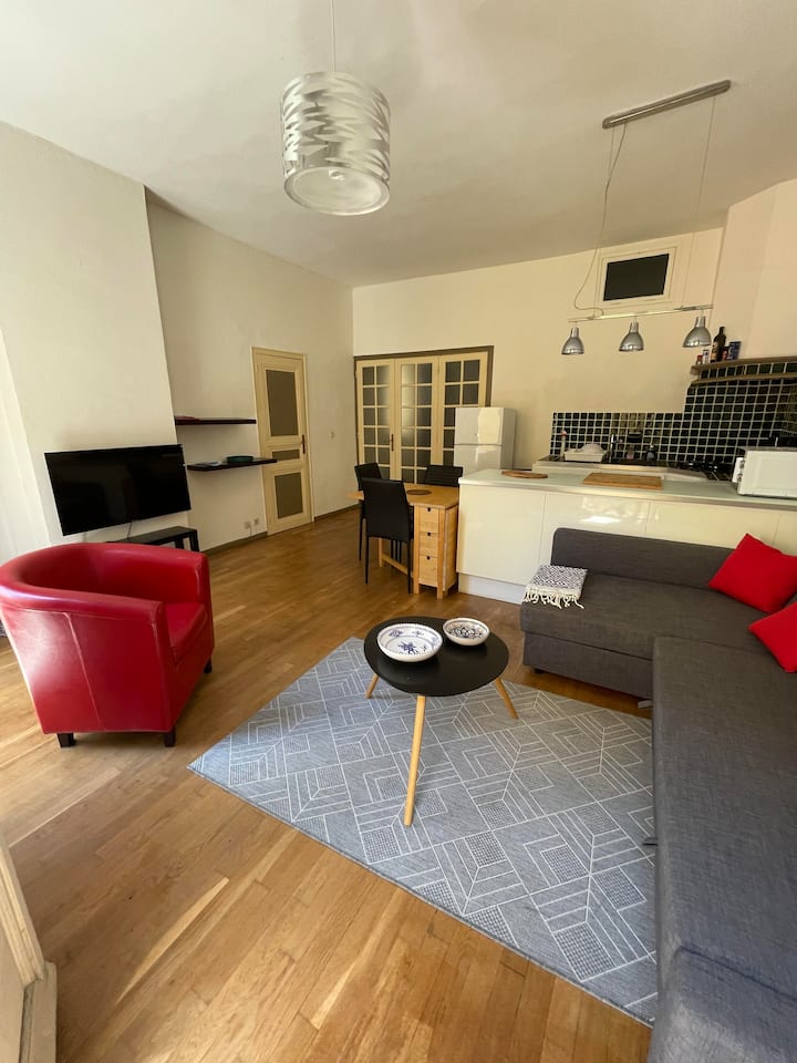 Appartement Climatisé Proche Quai Vauban. - Perpignan