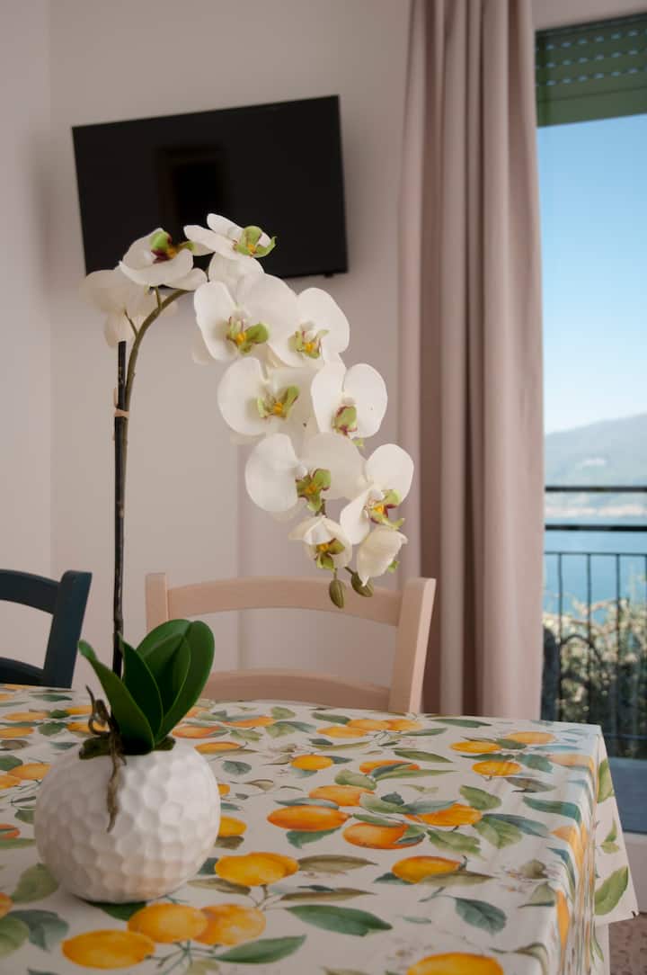 Apartment Sotto Albisano 2 - Torri del Benaco