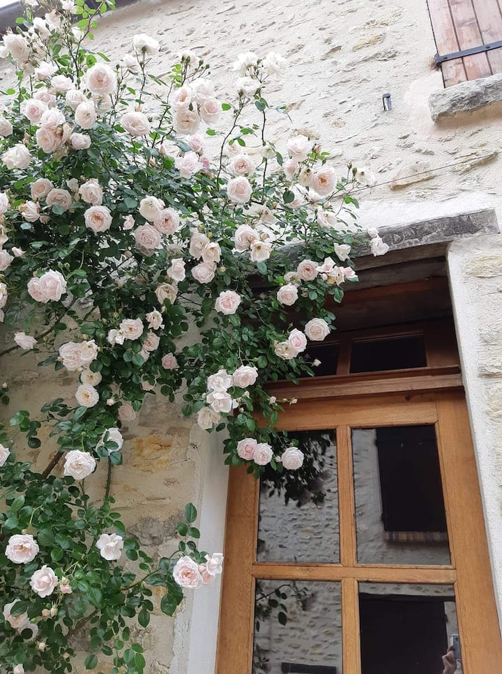 Gîte De La Chalouine à Châlo St Mars Classé ⭐⭐⭐ - Étampes