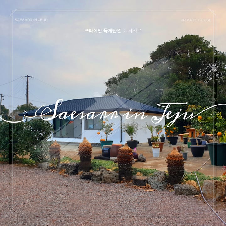 Private Stay In Mandarin Orchard, 100m From Sea - 제주시