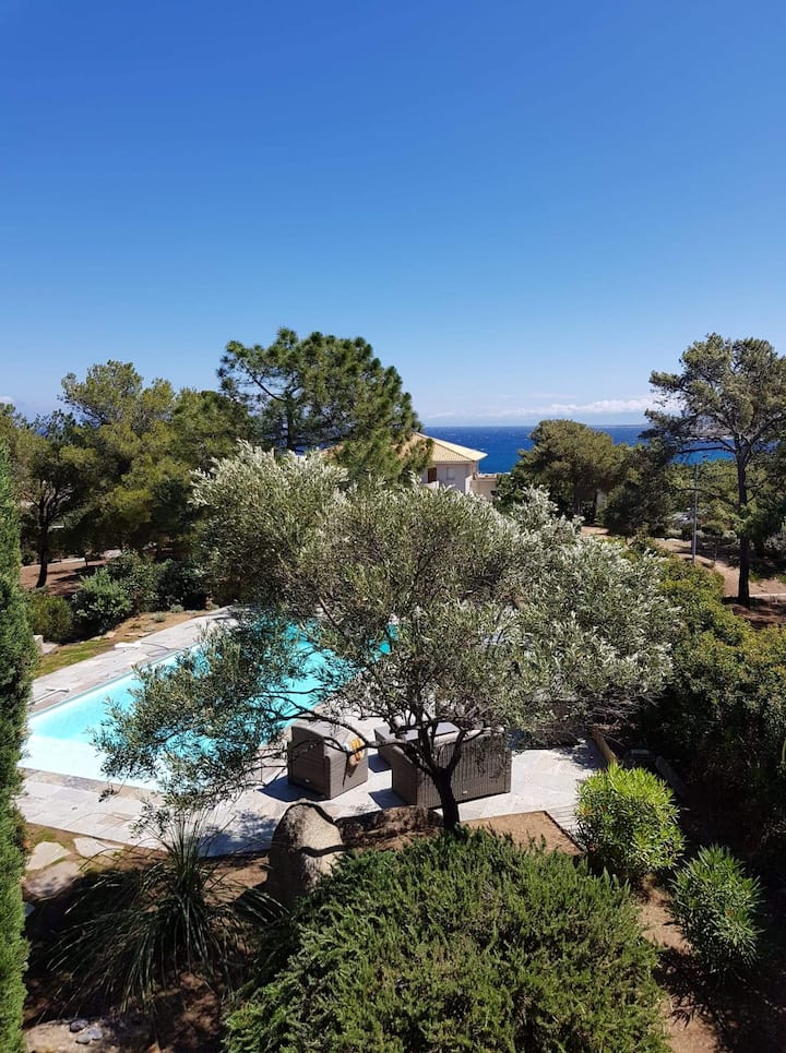 Villa De Bord De Mer Avec Piscine Et Grand Jardin - Calvi