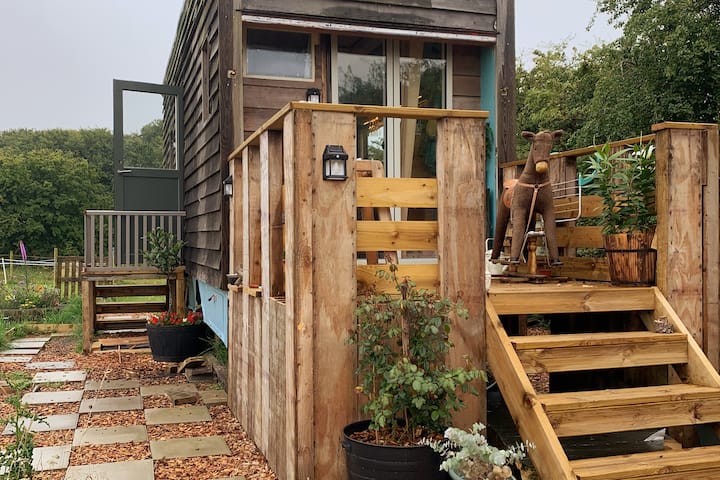 The Horsebox.
Wells, Glastonbury, Cheddar Gorge… - Shepton Mallet