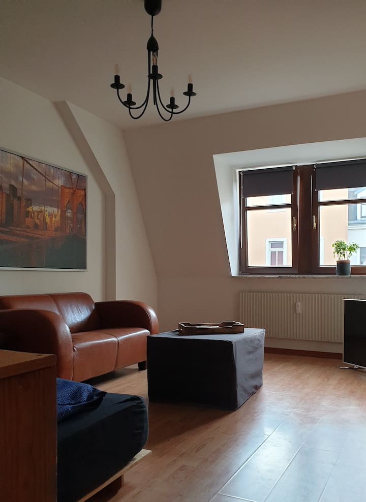 Zentrale Gemütliche Wohnung In Dresden-neustadt - Dresden